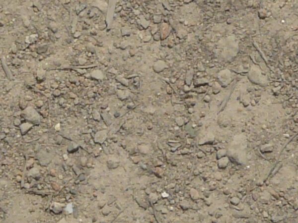 rough ground surface 0025 - Texturelib